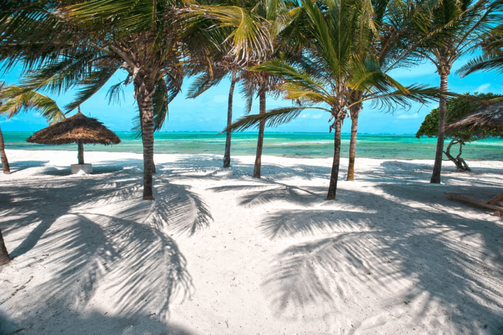 Kenya > JACARANDA BEACH RESORT 4* 7 notti | Viaggi nel risparmio