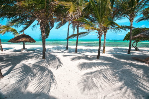 Kenya > JACARANDA BEACH RESORT 4* 7 notti | Viaggi nel risparmio
